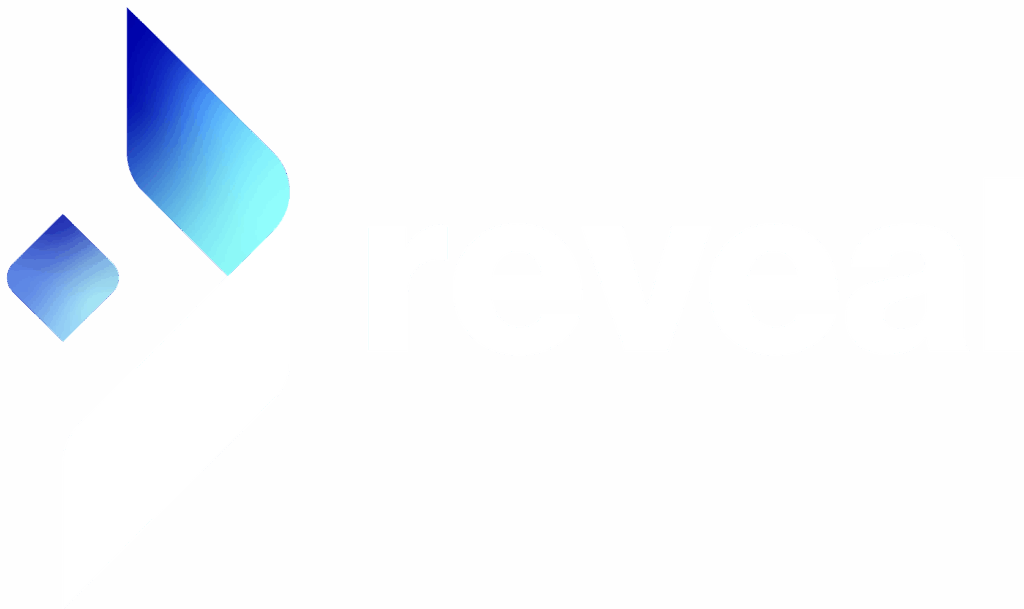 Space X – Reveal Diligence