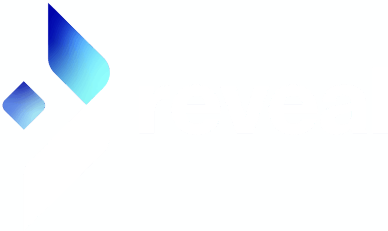 Space X – Reveal Diligence